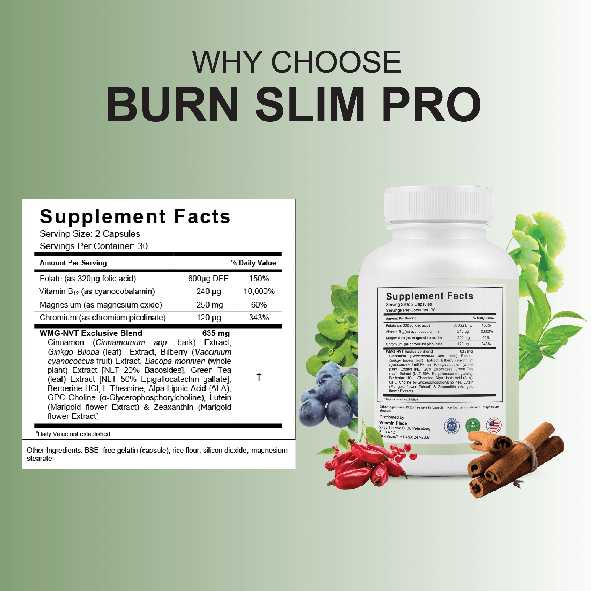 Burn Slim Pro Capsules – Weight Support | Vitamin-Place – Vitamin Place